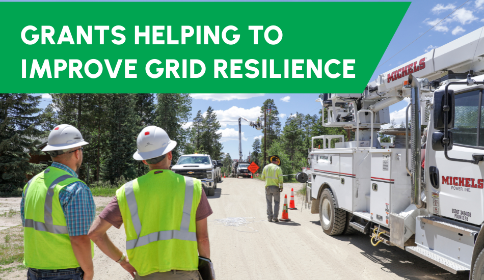 Grant funded project improving grid resilience | Mountain Parks ...