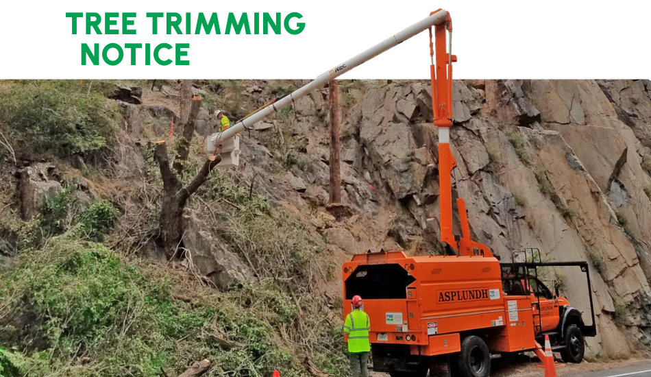 Notice of Tree Trimming | Mountain Parks Electric, Inc