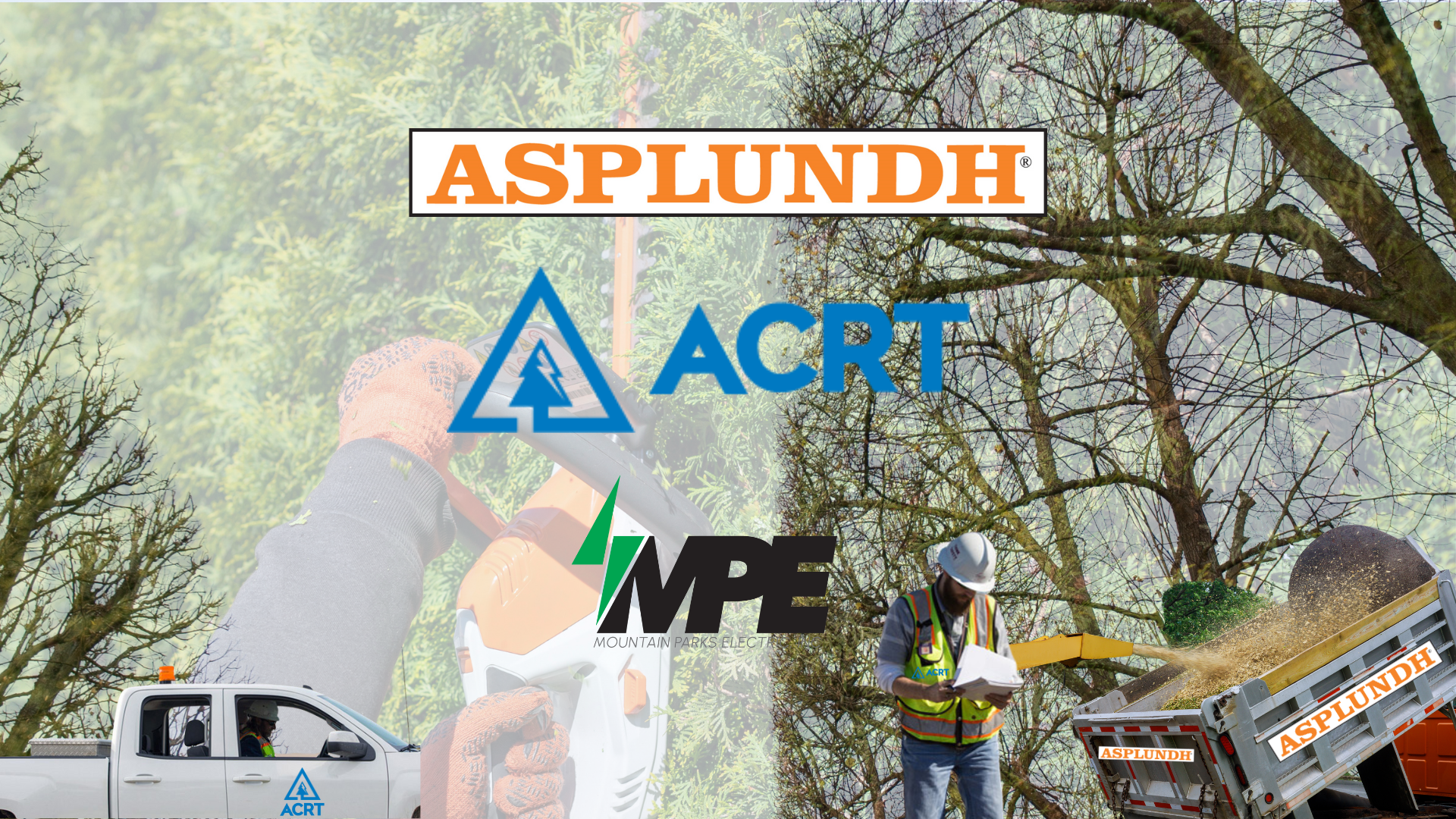 MPE'S WINTER TREE TRIMMING ACTIVITIES | Mountain Parks Electric, Inc